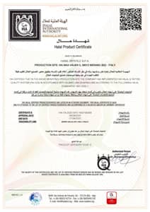 Download information and certification - Hans Zipperle SpA